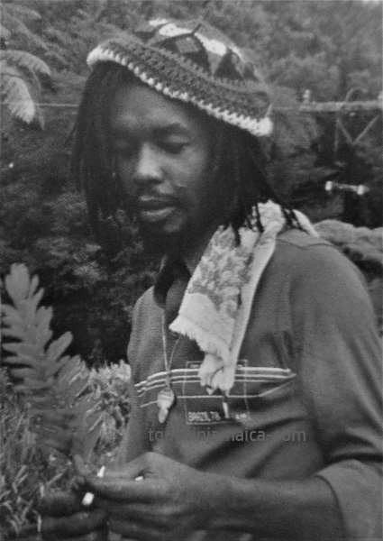 Peter Tosh - Leben und Sterben eines Reggaerebellen