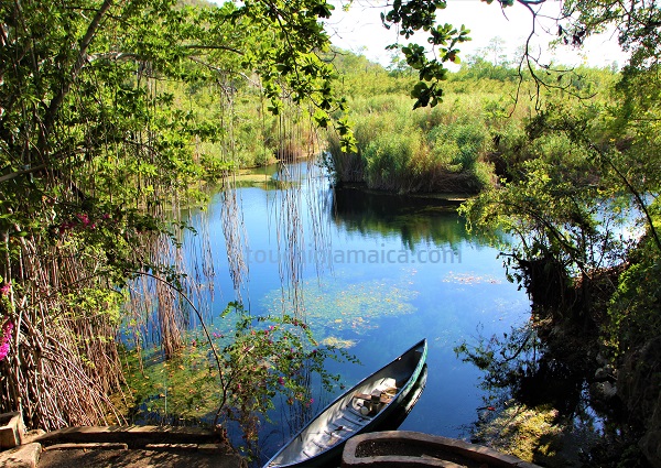 Alligator Hole Jamaika - Kanufahrt im Wetland