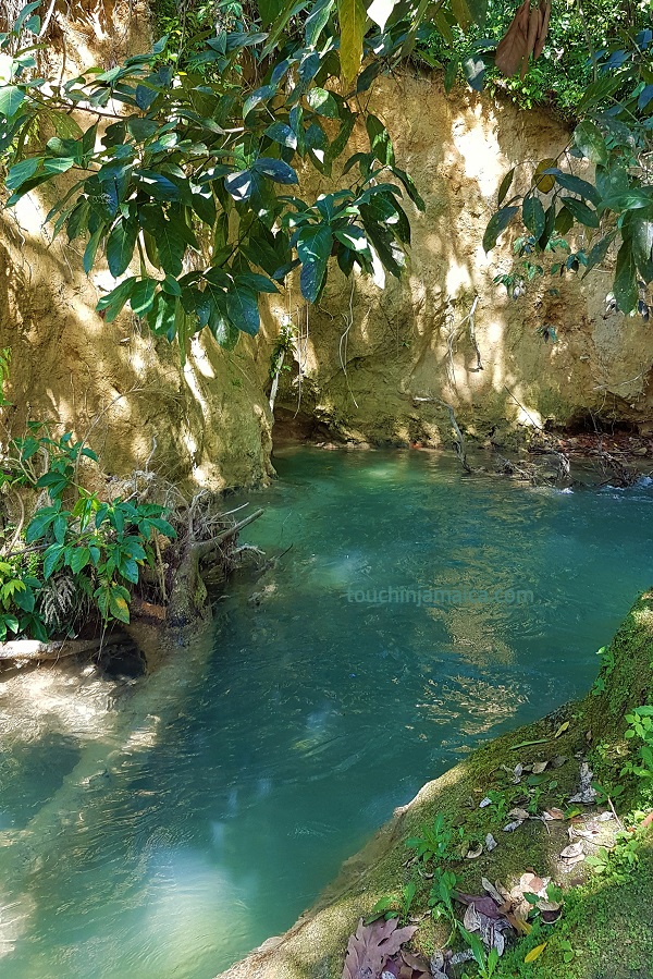 Benta River Falls - Westmoreland ~ TOUCHIN' JAMAICA
